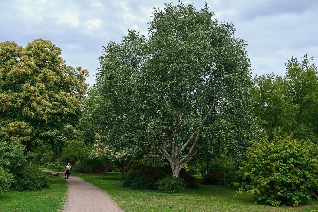 Thursday Thoughts – A short visit to Alnarp Castle and grounds | Leya