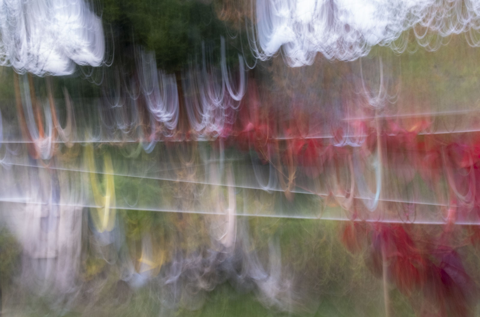 Lens-Artists Challenge #321 – Intentional Camera Movements (ICM) | Leya