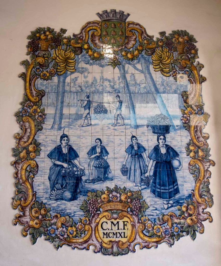 Thursday Thoughts – Madeira Magic | Leya